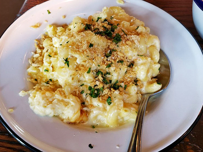 Mac and cheese so creamy and decadent it should require a permission slip. That golden crust on top? Pure genius.