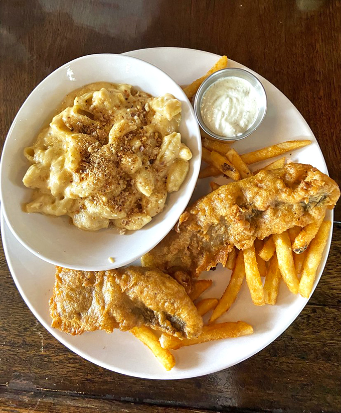 Mac and cheese that doesn't mess around. The breadcrumb topping creates that perfect textural contrast that separates the amateurs from the professionals. 