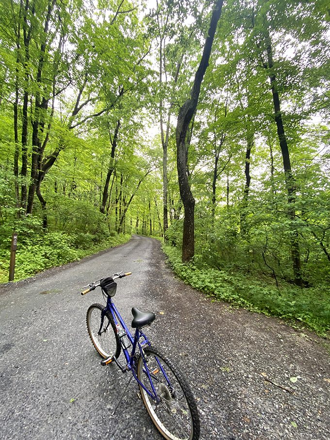 Nature's gym membership comes free with every Milford visit. This tree-canopied trail practically begs for your sneakers or bike tires.