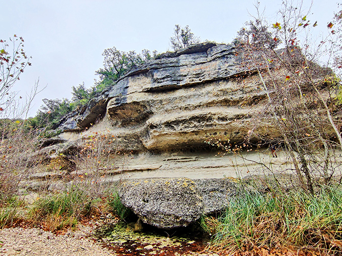 Layers of limestone tell Earth's story like geological lasagna, with each stratum representing millions of years of Texas history.