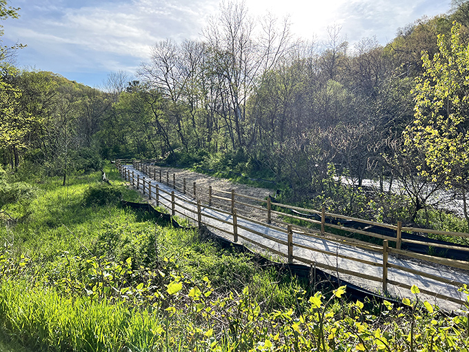 This wooden footbridge at Montour Woods doesn't just cross a stream—it transports you to a Pennsylvania version of Narnia, minus the talking animals.