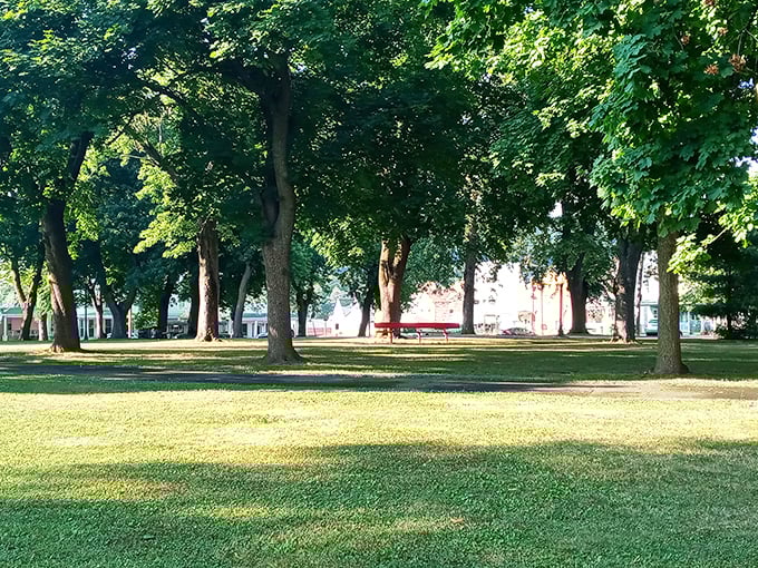 Under a canopy of mature trees, Mount Carmel's town park offers nature's air conditioning and peaceful respite without the resort fees.