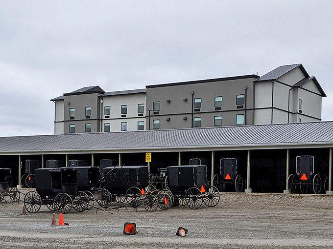 Parking lot poetry: Where modern SUVs and traditional buggies share space, a perfect metaphor for Mount Hope's gentle balance. 