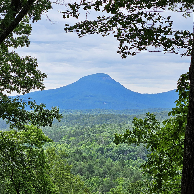Mother Nature showing off her profile pic. The majestic silhouette of Mt. Yonah rises above a sea of green, framed perfectly by forest sentinels.