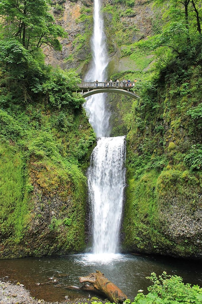 Multnomah Falls, where water has been putting on a spectacular show since before Instagram was invented. Nature's original viral sensation.