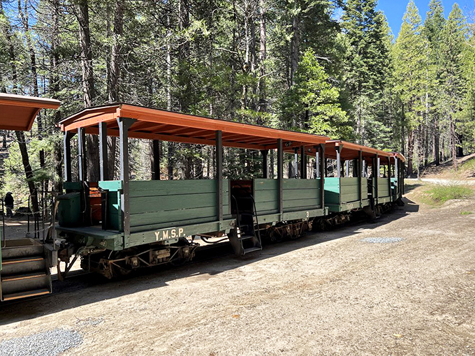Forest-bathing on wheels! These vintage green carriages offer the perfect blend of outdoor immersion without the blisters of hiking. 