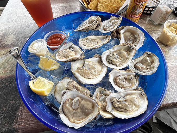 Oysters so fresh they're practically telling you about their morning swim. The only appropriate response is a squeeze of lemon and respectful silence.