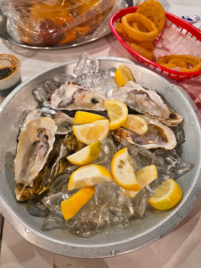 Fresh oysters on ice with lemon wedges – nature's perfect appetizer. Like kissing the ocean, but with better table service.