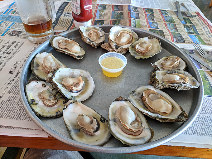 These oysters aren't just seafood; they're time capsules of the Delaware Bay, served with a splash of sunshine in liquid form.