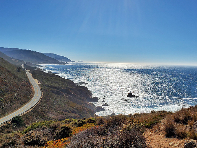 Highway 1 hugs the coastline like it's afraid of letting go. This iconic stretch offers the kind of views that make passengers suddenly become photographers.