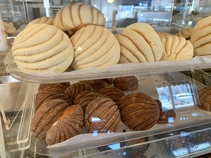 Conchas in their natural habitat&mdash;golden-brown perfection with distinctive ridge patterns that promise the perfect balance of crisp topping and pillowy bread beneath.