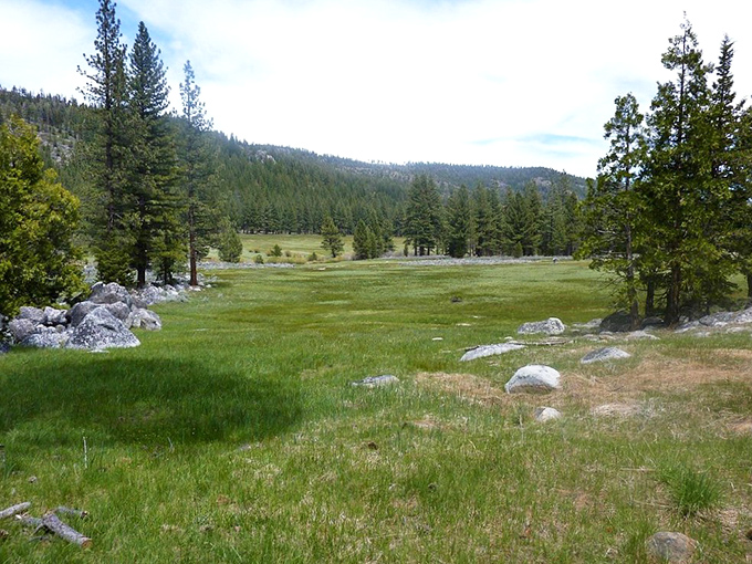 Alpine meadows that look like they're auditioning for "The Sound of Music." The park's open valleys provide breathing room amid the dense forest surroundings.