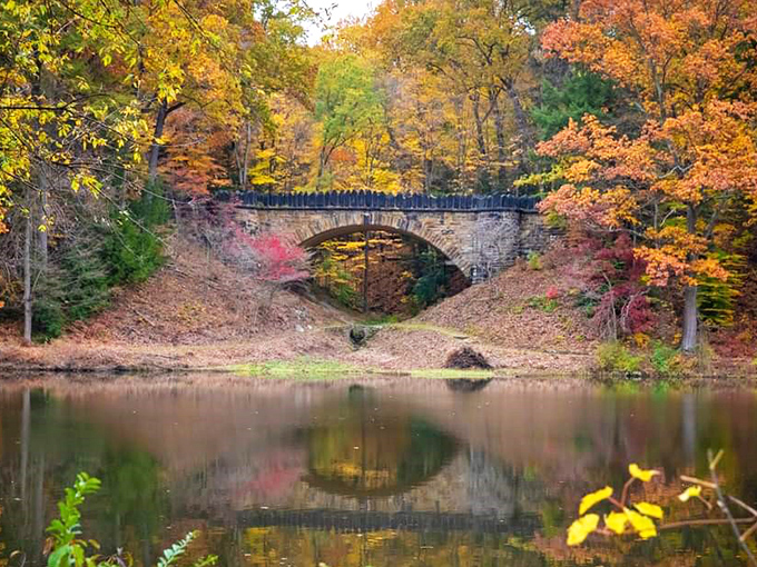 Nature framed this stone bridge so perfectly, it's as if the trees, water, and stonework all agreed to create the world's most serene selfie spot.