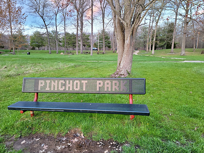 Park benches that have heard more family secrets than therapists. This grassy gathering spot practically begs for picnic baskets and lazy afternoon naps.