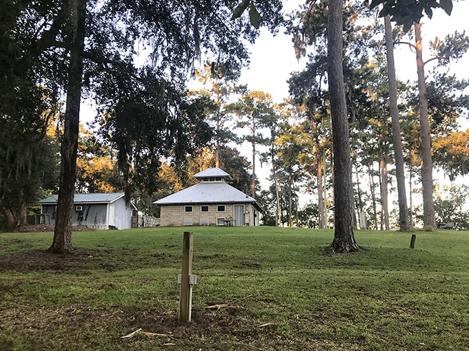 This peaceful pavilion nestled among towering pines offers a retreat where the only notification you'll get is from a singing bird.
