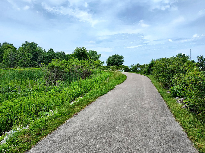 The park's paved trails wind through meadows like nature's welcome mat, inviting explorers of all fitness levels.