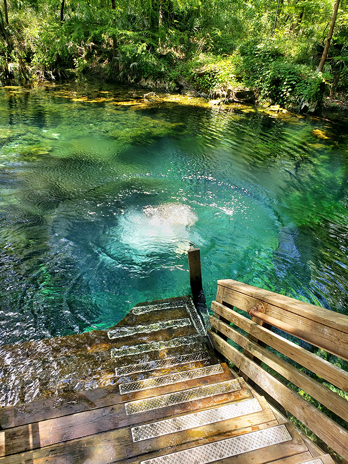 Mother Nature showing off her best work&mdash;water so clear it looks Photoshopped, but it's 100% authentic Florida magic.