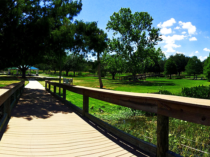 Nature's boardwalk invites you to wander without purpose. This wooden path through Leesburg's greenery is the antidote to your GPS-directed life.