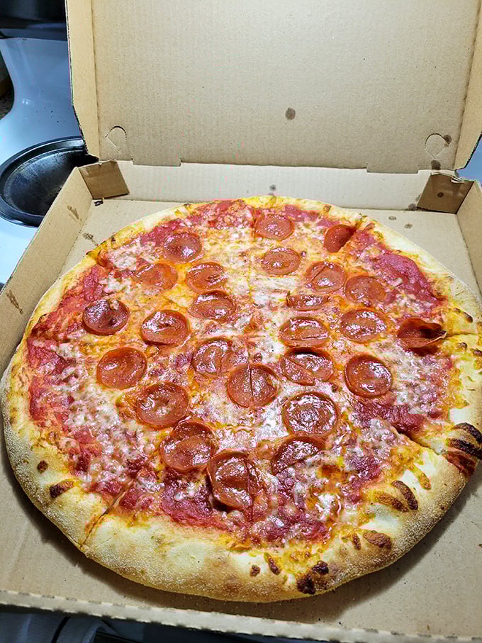 Pizza perfection defined: those curled-up pepperoni cups creating little pools of spicy oil are the culinary equivalent of winning the lottery without buying a ticket.