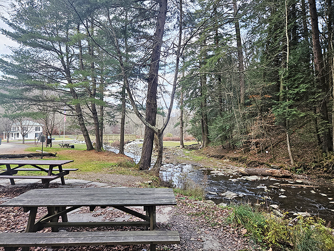 Picnic perfection awaits beside gentle waters, where the background music is provided by a babbling brook instead of your neighbor's questionable playlist.