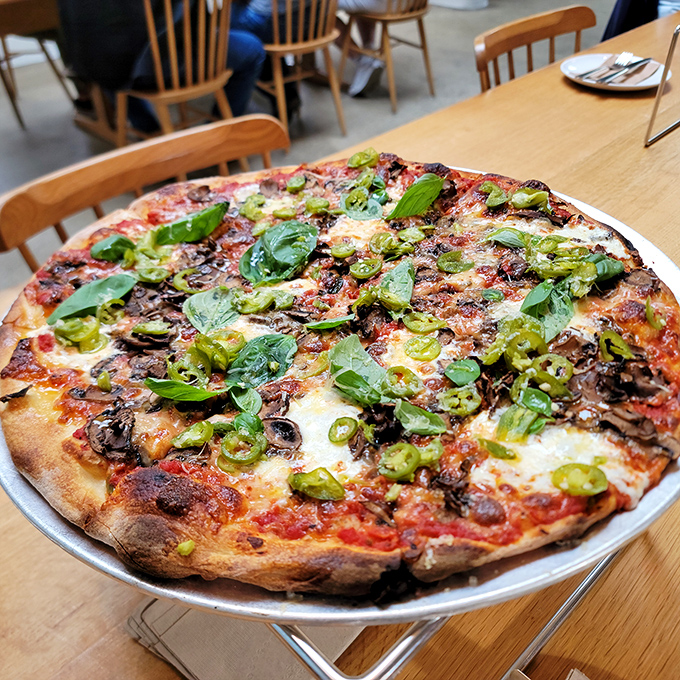 Pizza perfection doesn't happen by accident. Those charred edges and vibrant toppings are what pizza dreams are made of.