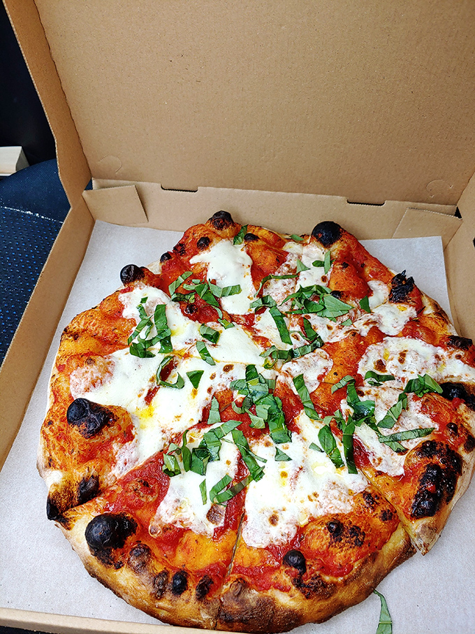 Behold the char bubbles! This is what happens when dough meets destiny in a properly heated oven.