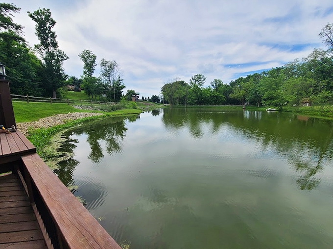 This serene pond offers a moment of reflection&mdash;literally and figuratively&mdash;away from the digital notifications that usually punctuate our days.