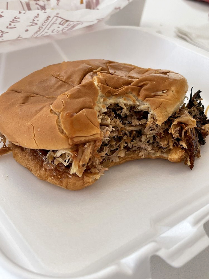 The pulled pork sandwich in mid-bite glory – evidence that sometimes the messiest relationships are the most satisfying ones.