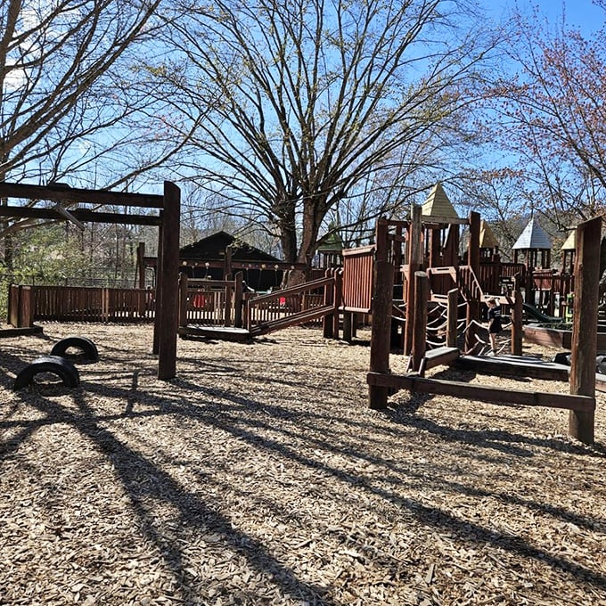Childhood joy doesn't need Wi-Fi. Poteet Park's wooden playground is where kids still experience the analog thrill of outdoor play.