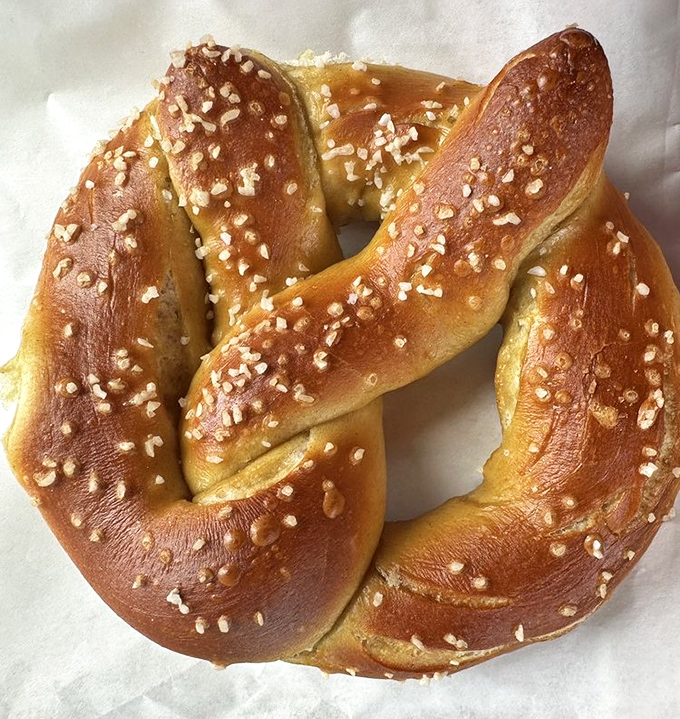 Behold the perfect pretzel in its natural habitat&mdash;golden-brown, salt-studded, and twisted with mathematical precision that would make even Einstein nod in approval.