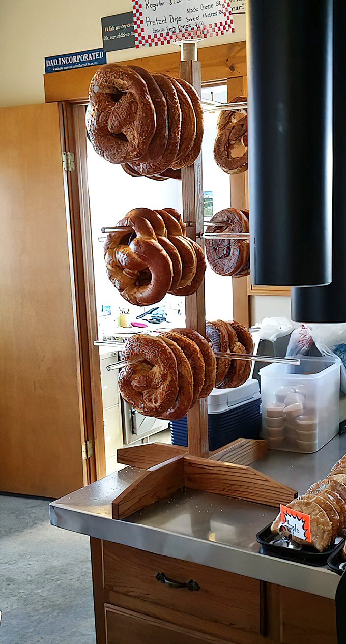 These aren't just pretzels &ndash; they're edible sculptures, hanging like delicious mobiles in a carbohydrate art gallery that would make Picasso hungry.