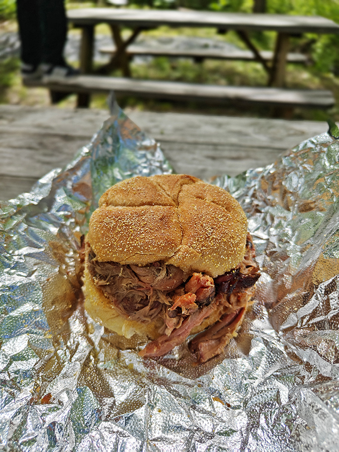 Pulled pork perfection nestled in a golden bun. Each bite delivers that magical combination of smoke, tenderness, and flavor that barbecue lovers chase.
