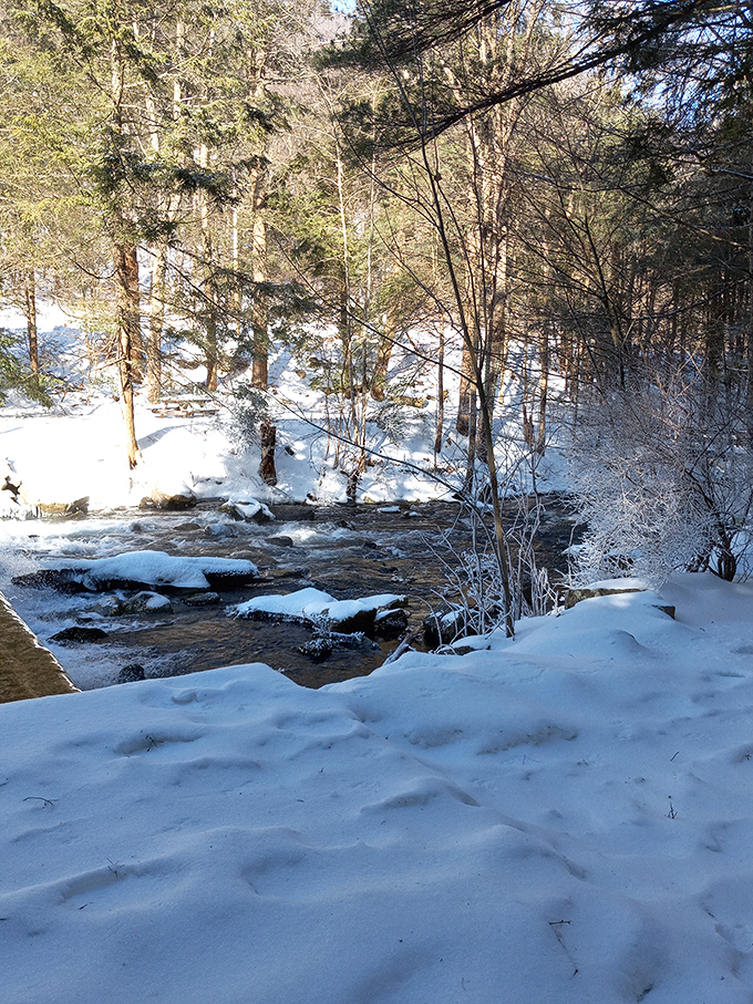 Winter transforms Rauchtown Creek into a Narnia-esque wonderland. The bubbling water refuses to surrender to ice, creating nature's perfect contrast.