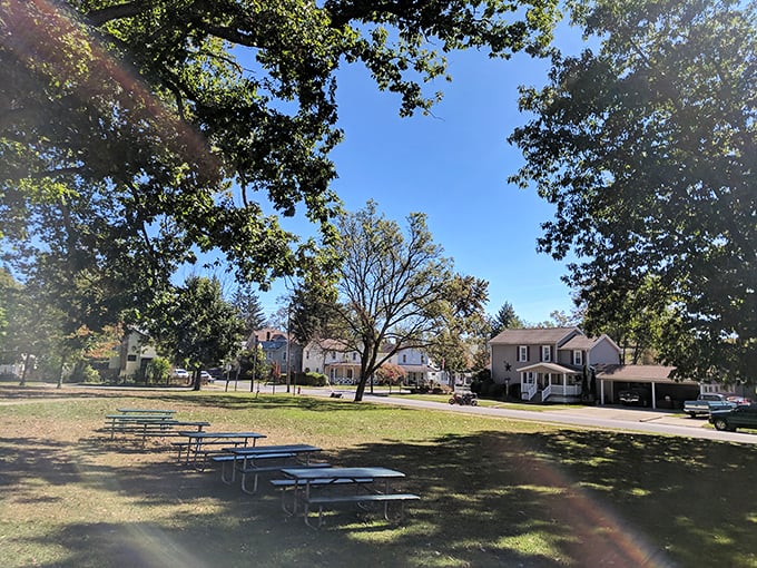 Picnic tables under a canopy of trees&mdash;nature's dining room where the only reservation required is the one you make with yourself to slow down.