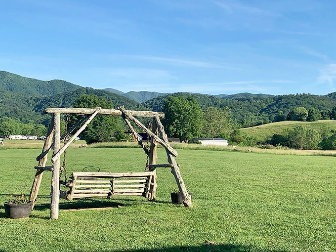 Between zorbing adventures, this rustic swing offers a moment of serenity with mountain views that remind you why they call Tennessee "beautiful."