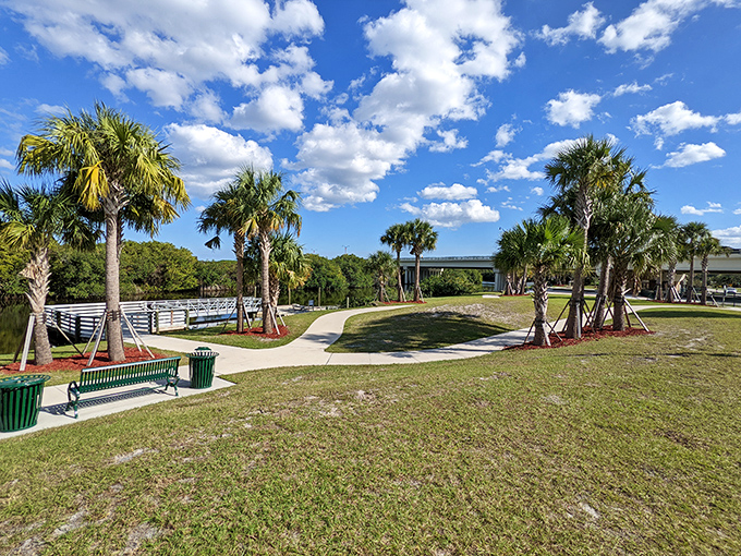 SE Coral Reef Park offers winding paths through Florida's natural beauty. The perfect spot to contemplate life's big questions or simply appreciate how palm trees somehow make everything better.