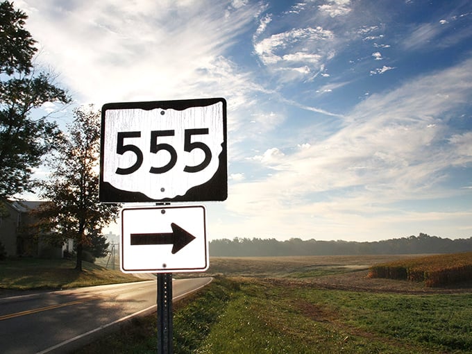 Golden hour transforms ordinary farmland into a painter's dream along 555. Even the road signs look like they're posing for a calendar shoot.