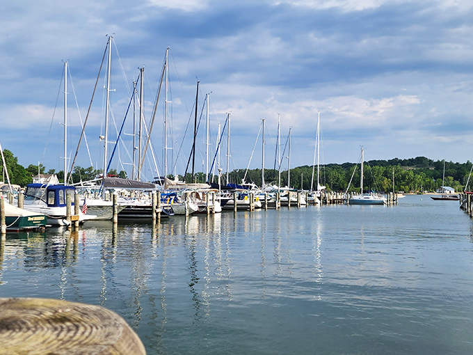 A marina so pristine it looks like someone arranged these sailboats for a magazine shoot. Lake Macatawa's version of nautical feng shui.