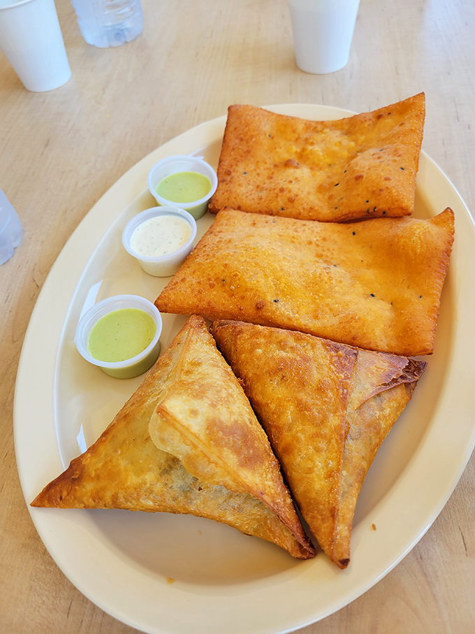 Golden-fried sambusas that crackle with promise, served with vibrant dipping sauces that make your standard appetizers seem like they're not even trying.