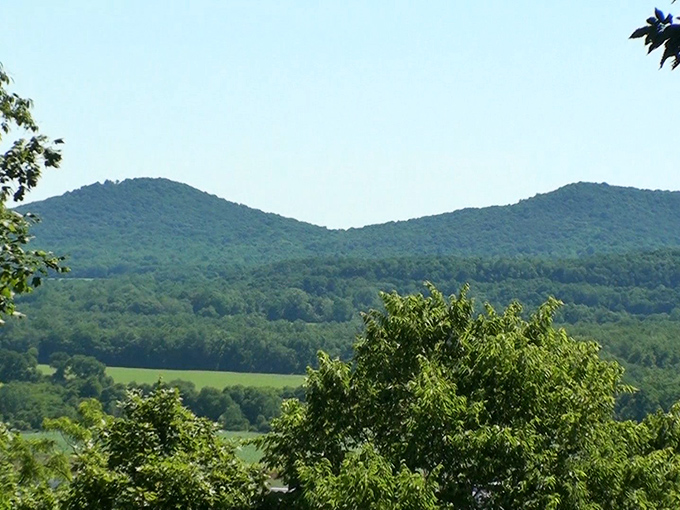 The rolling hills of Great Seal offer a view that inspired Ohio's founders. On clear days, these twin peaks create a postcard-worthy panorama no filter could improve.