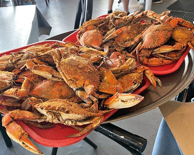 Seafood heaven on a platter! These steamed crabs dusted with Old Bay are why Marylanders own mallets and aren't afraid to use them.