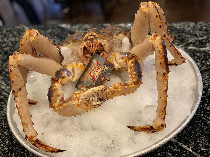 King crab on ice&mdash;nature's version of edible architecture. Those legs contain more delicious secrets than my grandmother's recipe box.