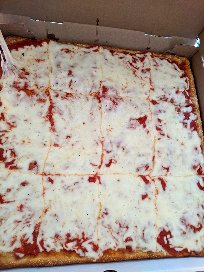 The Sicilian square cut: a thick, focaccia-like crust supporting the perfect ratio of sauce to cheese. Geometry never tasted so good.