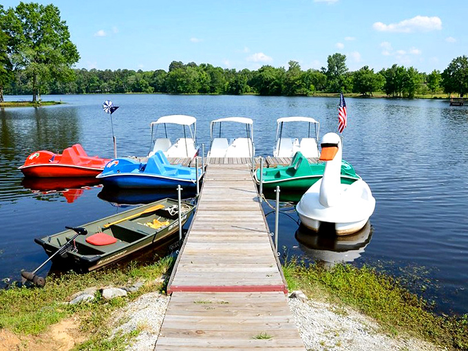 Slade Lake offers the kind of tranquility money can't buy, with colorful paddle boats waiting to take you on a leisurely adventure across mirror-like waters.