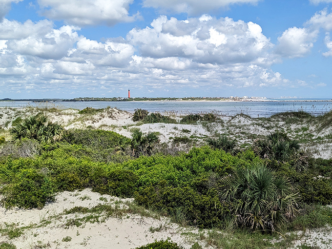 Coastal wilderness preserved in all its glory. Smyrna Dunes Park offers a glimpse of Florida as it once was, with sea oats dancing in the breeze.