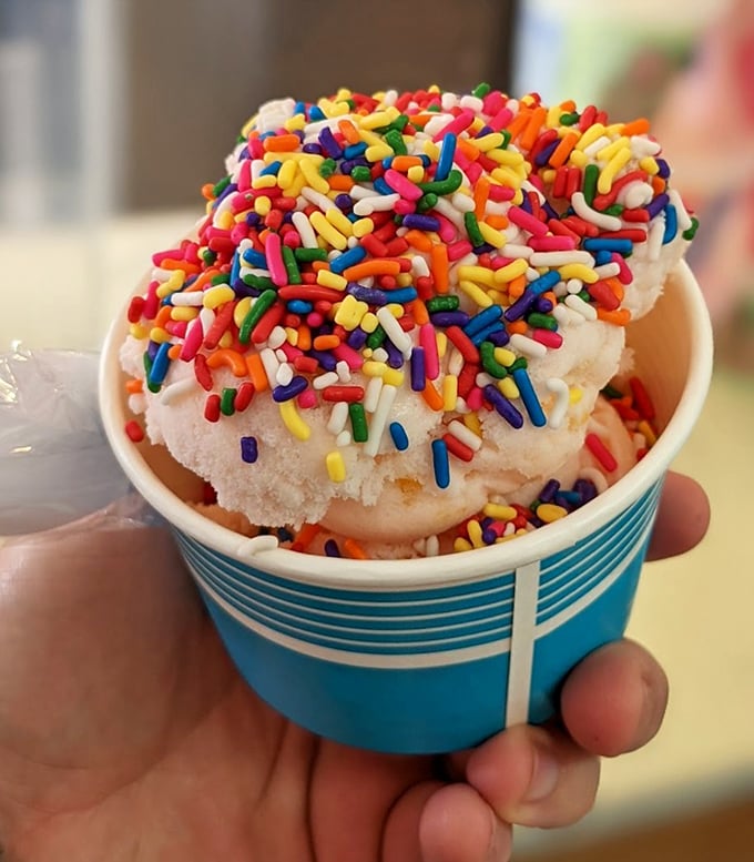 Rainbow sprinkles transform ordinary ice cream into a celebration. This cup of joy proves sometimes the best accessories are the edible kind.