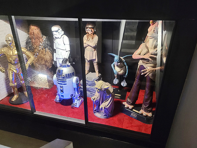 The Force is strong with this eclectic Star Wars collection. Chewbacca's fur looks suspiciously like my uncle's toupee after a windy day.