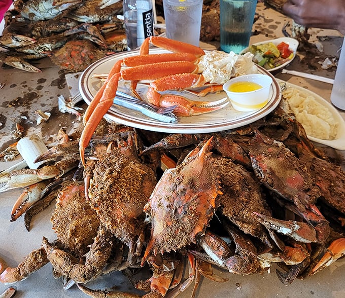 This glorious mess of steamed crabs and shells is what Maryland dreams are made of.