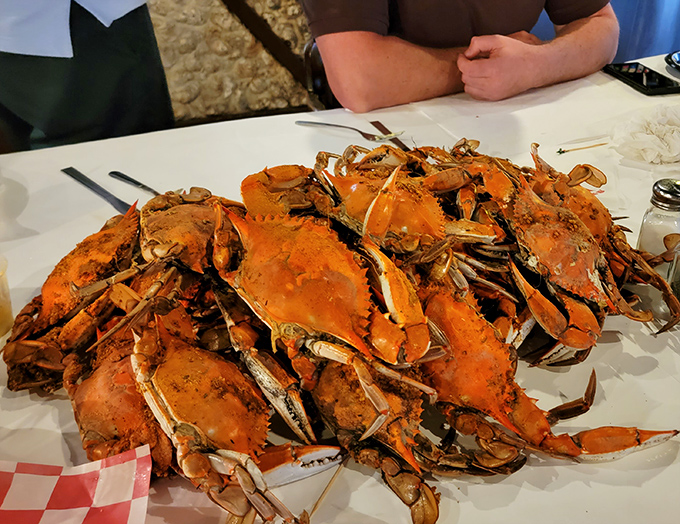 Behold the main event: steamed Maryland blue crabs, their shells glowing sunset-orange, practically begging for the satisfying crack of your mallet.