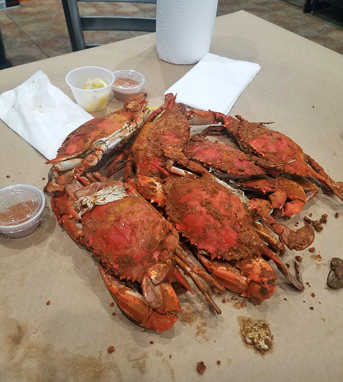 Behold the beautiful chaos of a proper crab feast &ndash; shells, claws, and pure Maryland magic everywhere.